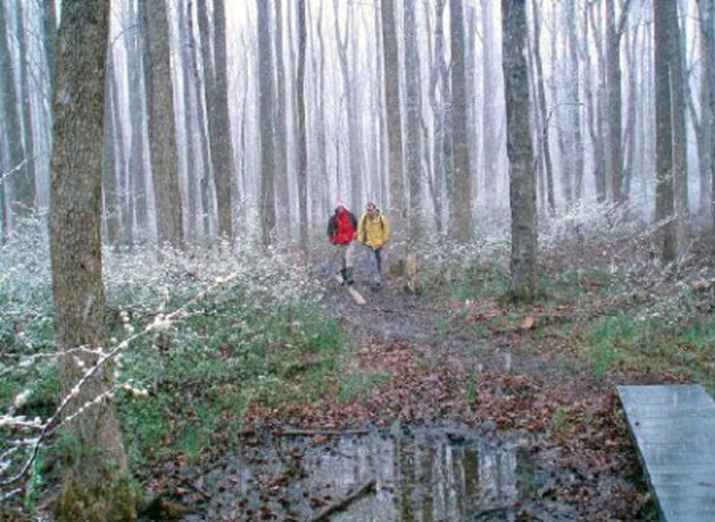 Lawrence Township New Jersey - Lawrence Open Space