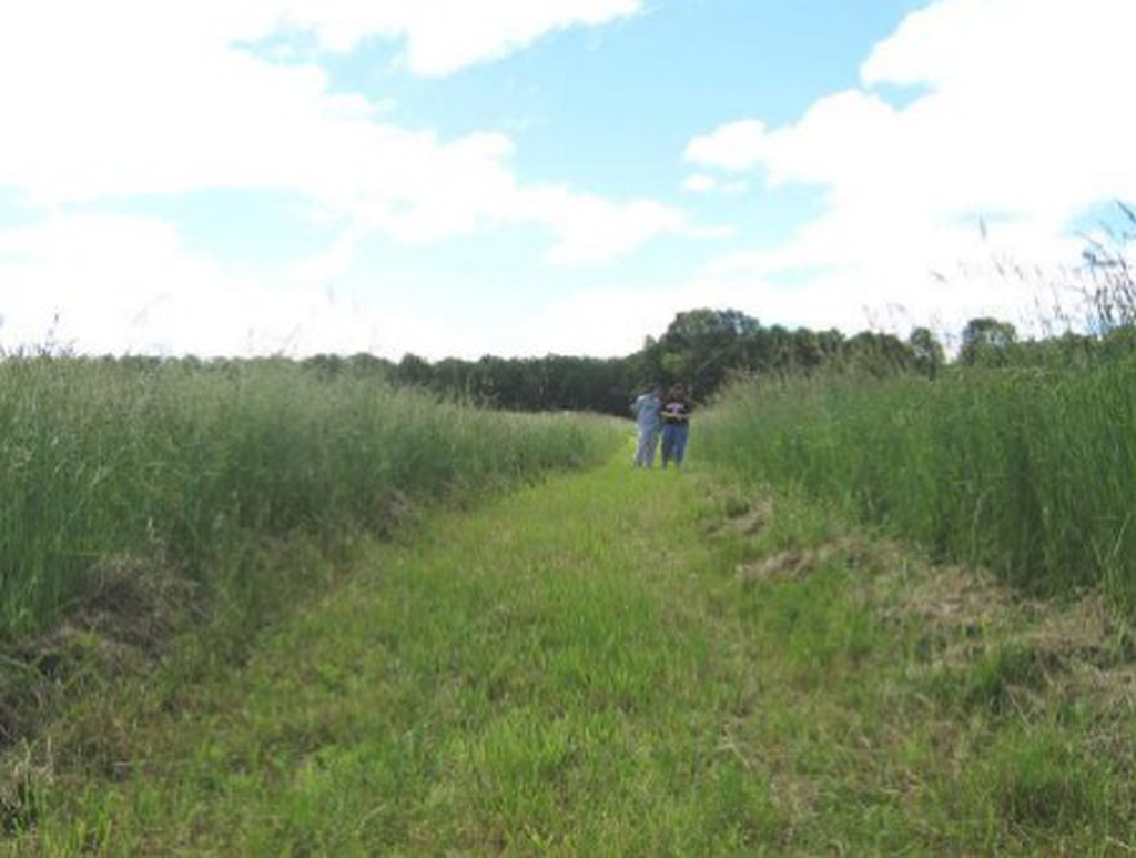 Lawrence Township New Jersey - Lawrence Open Space